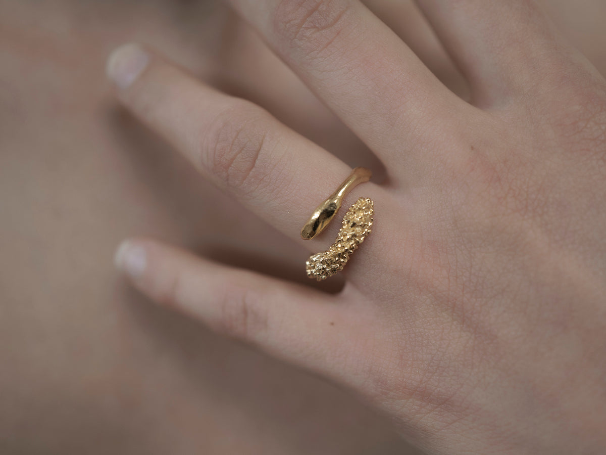 Shape Shifter ring – Bjørg Jewellery
